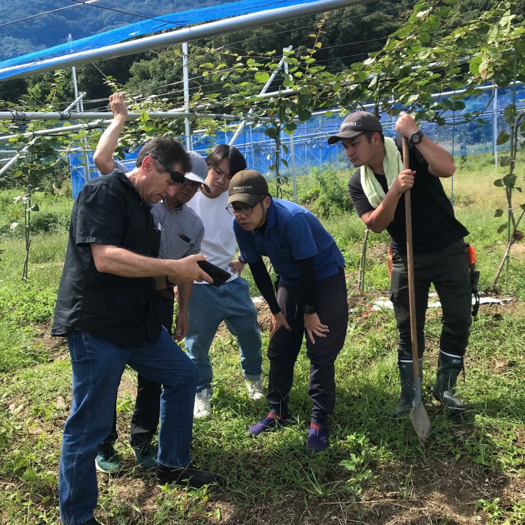 テクノロジーを使いこなす、キウイ栽培 :: MIKO JAPAN キウイフルーツ – エブリデイキウイ！